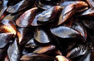 Chilean Gratinated Mussels: Easy and Cheesy Choritos Recipe - Chilean ...